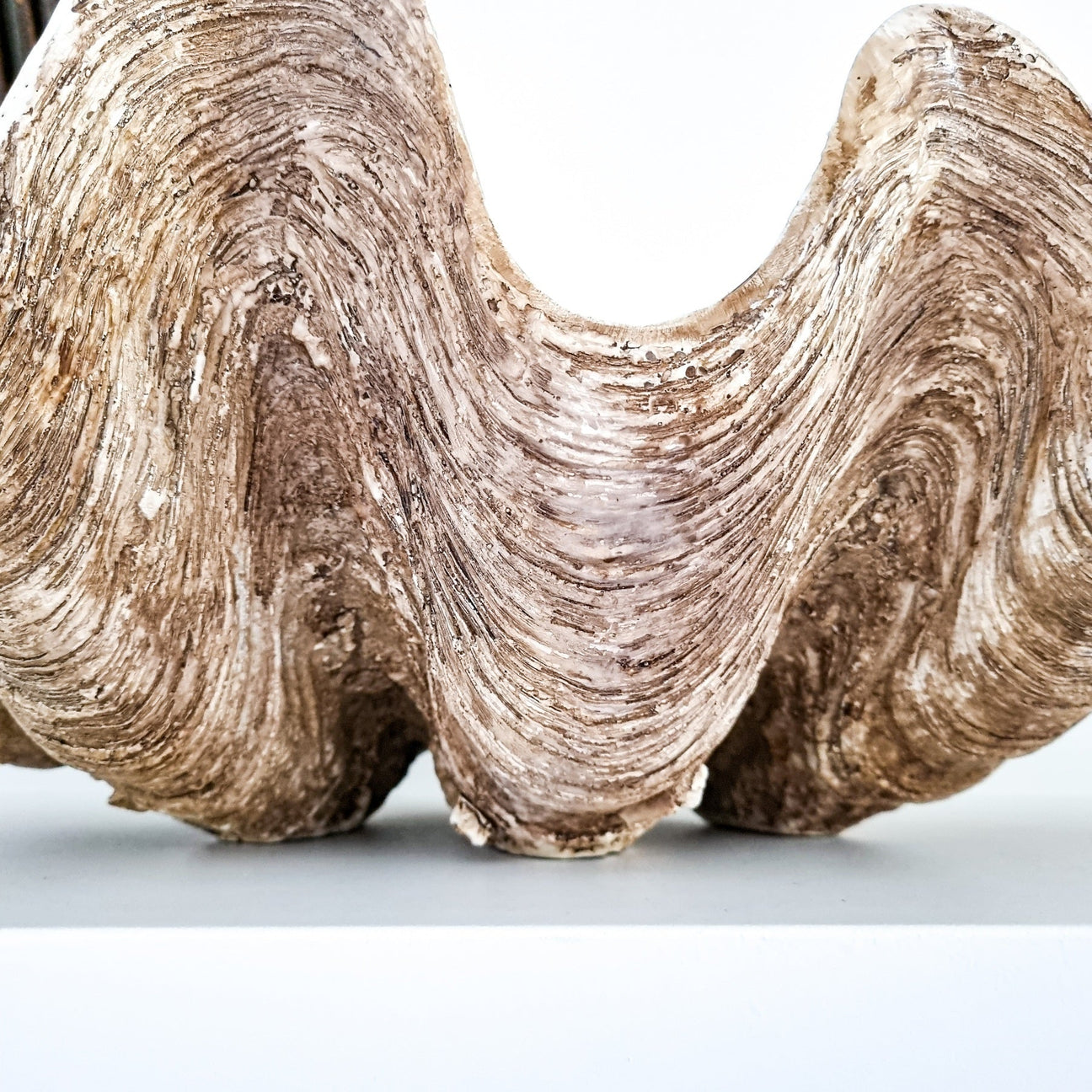 Coastal Clam Shell decor-large-resin – Coastal Boheme Collective