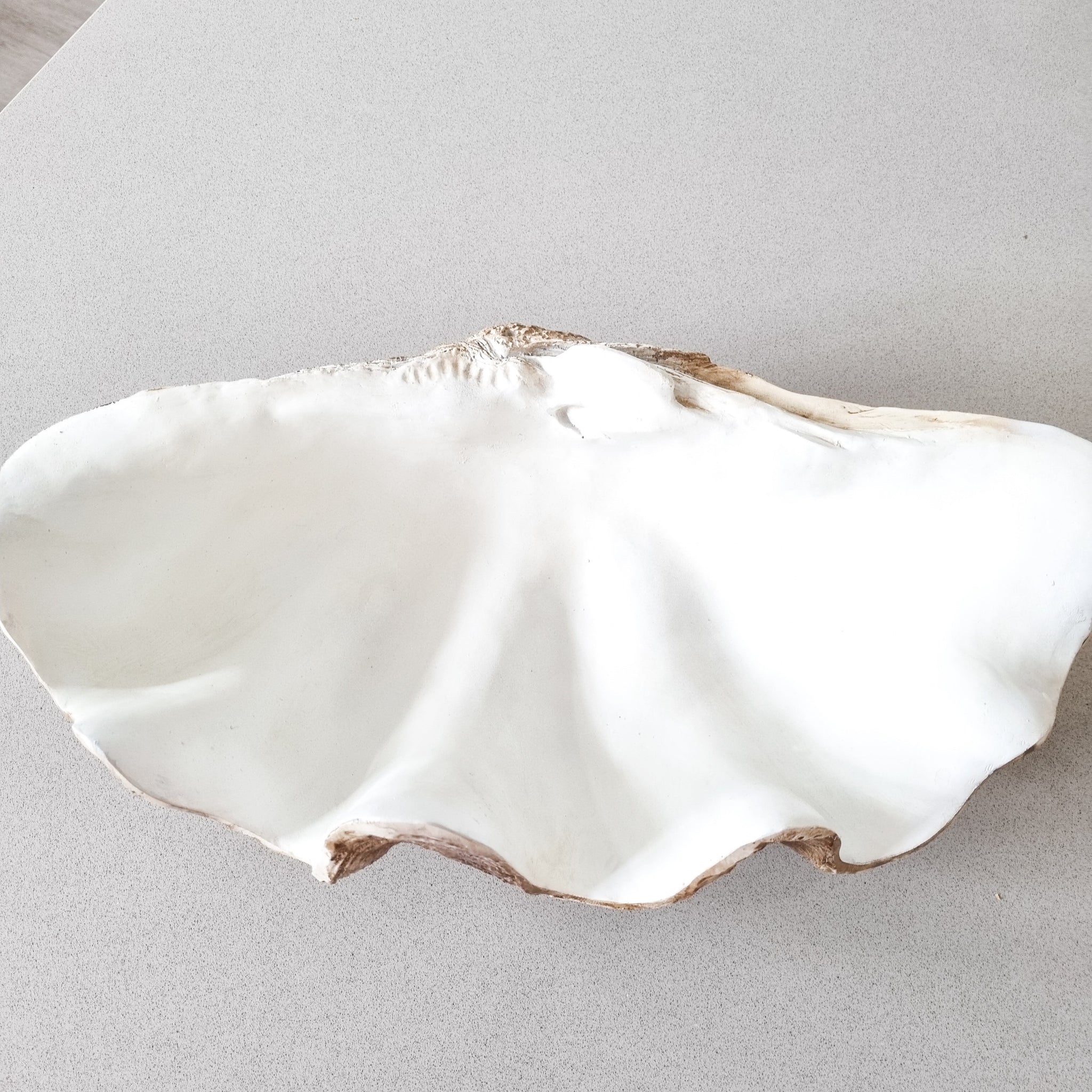 Coastal Clam Shell decor-large-resin – Coastal Boheme Collective
