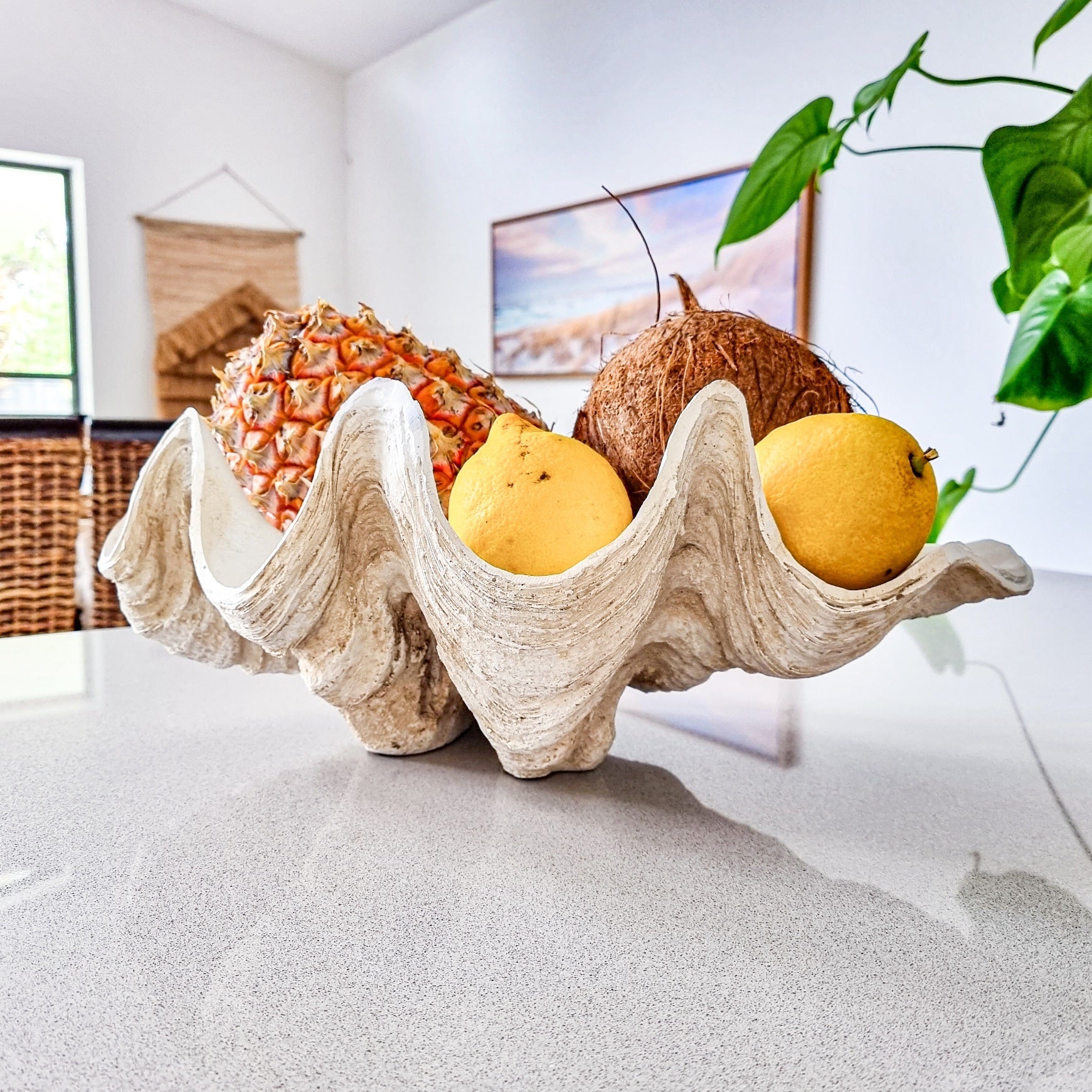 Coastal Clam Shell - Medium- resin – Coastal Boheme Collective