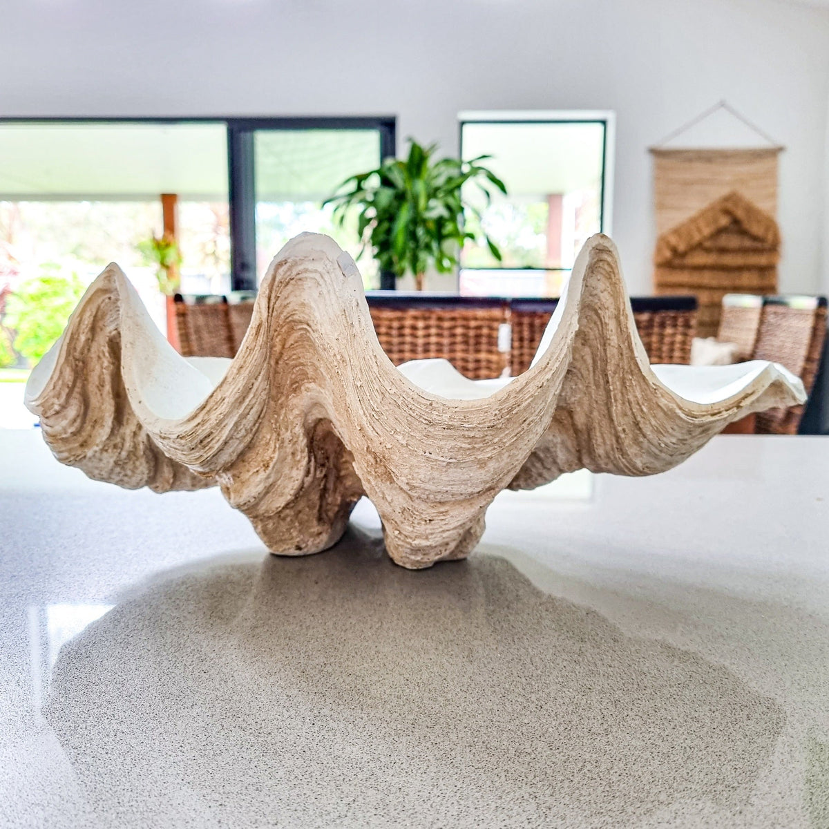 Coastal Clam Shell - Medium- resin – Coastal Boheme Collective