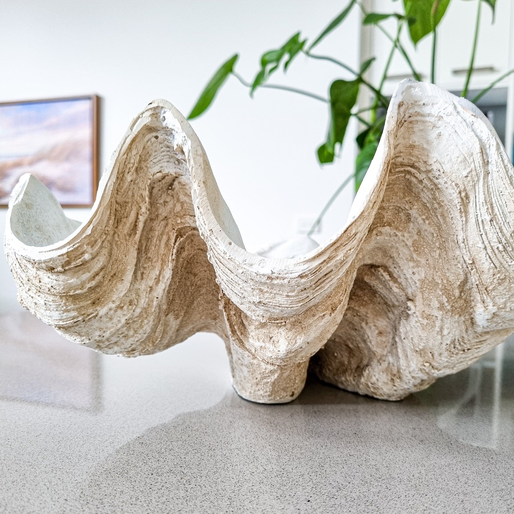 Coastal Clam Shell - Medium- resin – Coastal Boheme Collective